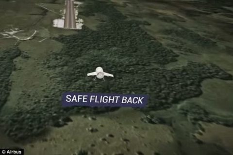 Adeline | Alcore Technologies