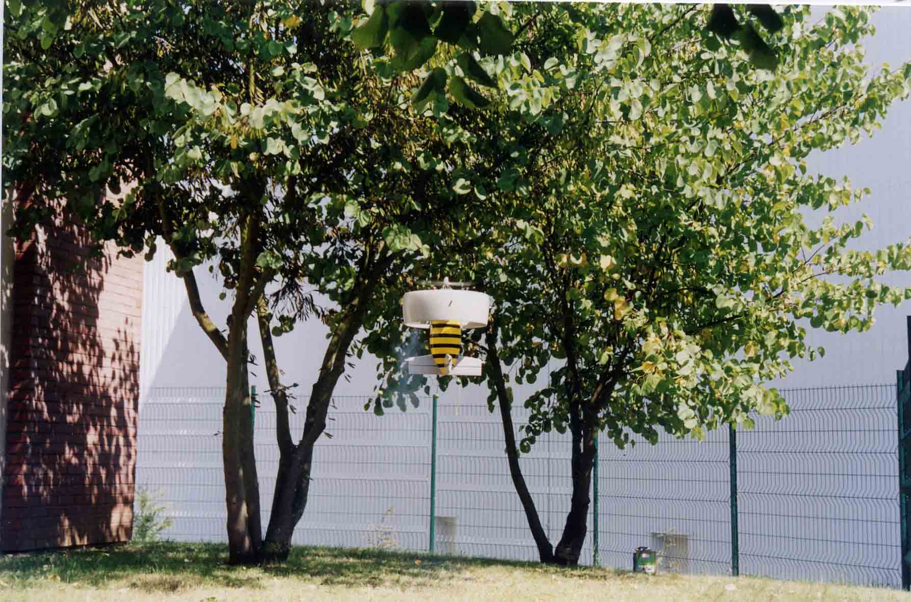 Maya | Alcore Technologies